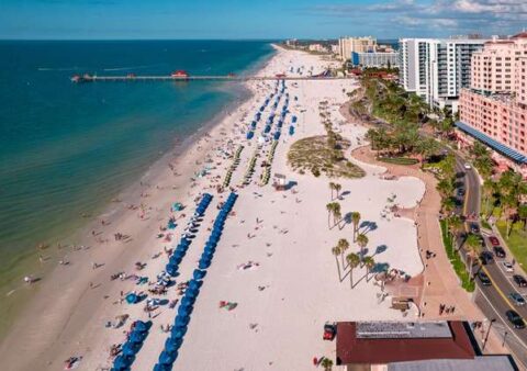 Top 10 Florida Shelling Beaches: Find Shells in 2025